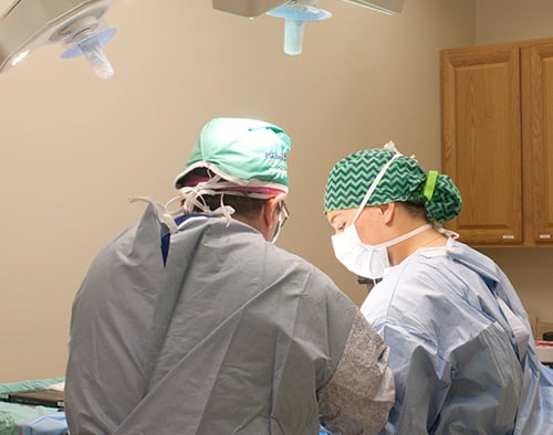 Surgery - Vet in Tucson | Veterinary Specialty & Emergency