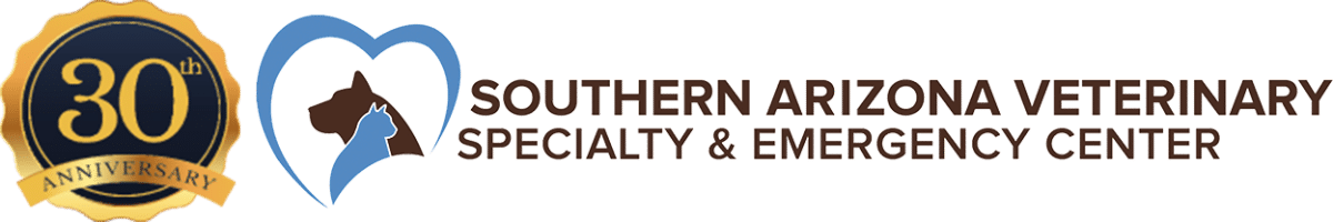 Veterinarian in Tucson | Vets Near Me | Veterinary Specialty & Emergency